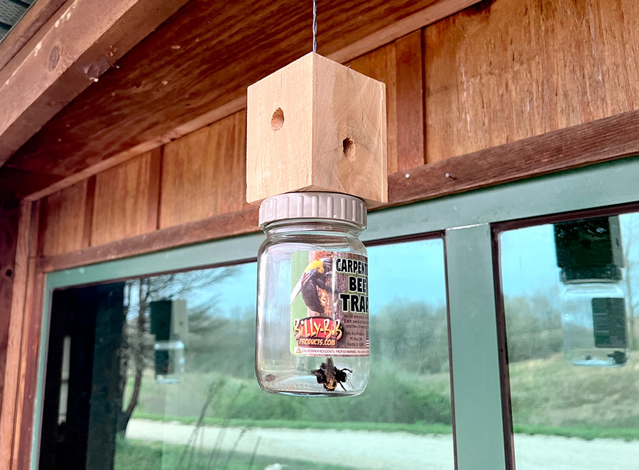 Billy Bob Carpenter Bee Trap - Hanging Outdoor Trap - Billy Bob